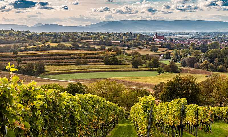 Ettenheim entdecken | Region Europa-Park