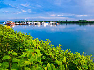 Schwanau entdecken | Region Europa-Park