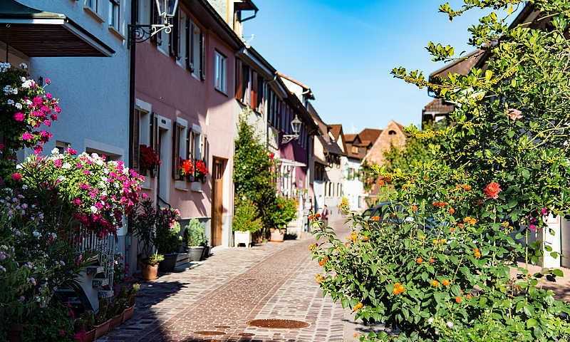 Ettenheim entdecken | Region Europa-Park